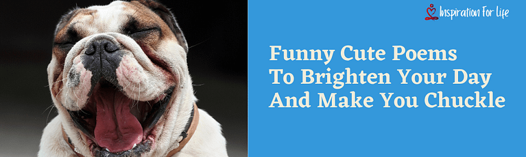 Funny Cute Poems To Brighten Your Day And Make You Chuckle